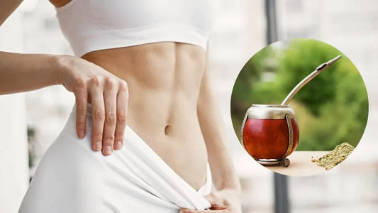 Tienda online de Mates - Yerba Mate y Bombillas | tiendaboldo.com – Boldo